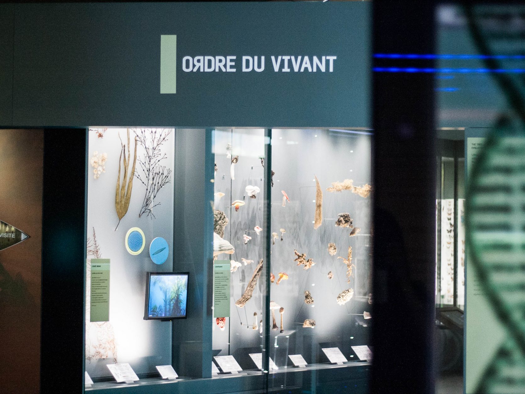 Toulouse - Le Muséum et le jardin botanique • Escapades etc.