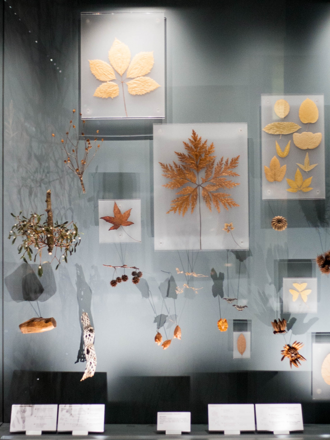 Toulouse - Le Muséum et le jardin botanique • Escapades etc.